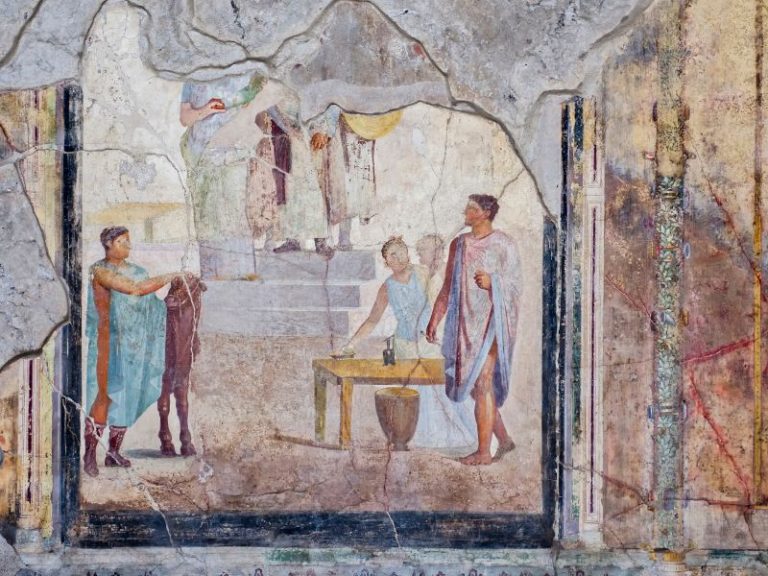 Vesuvius Eruption - Pompeii Archaeological Park